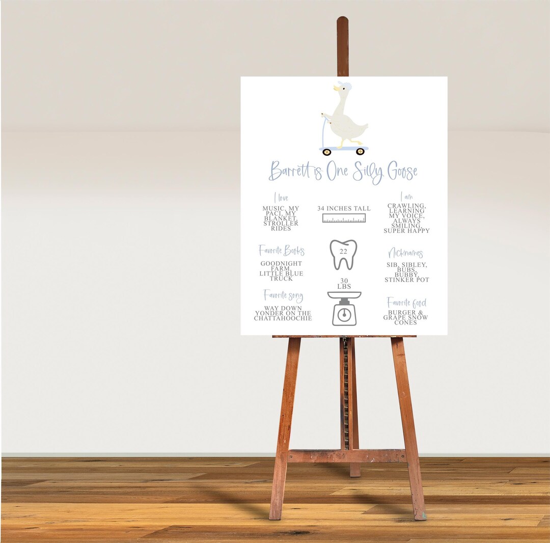 One Silly Goose Party Milestone Sign | Blue Gingham | Watercolor ...
