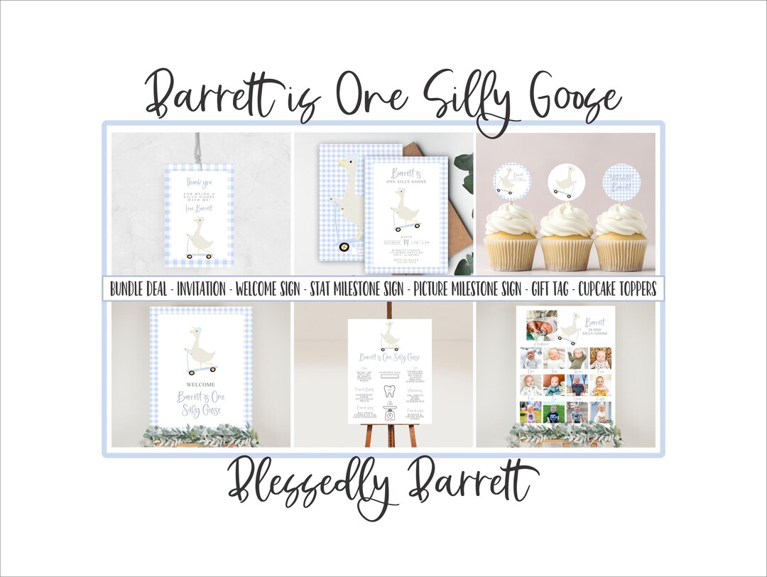 Grandmillennial One Silly Goose Party Bundle | Blue Gingham, First ...