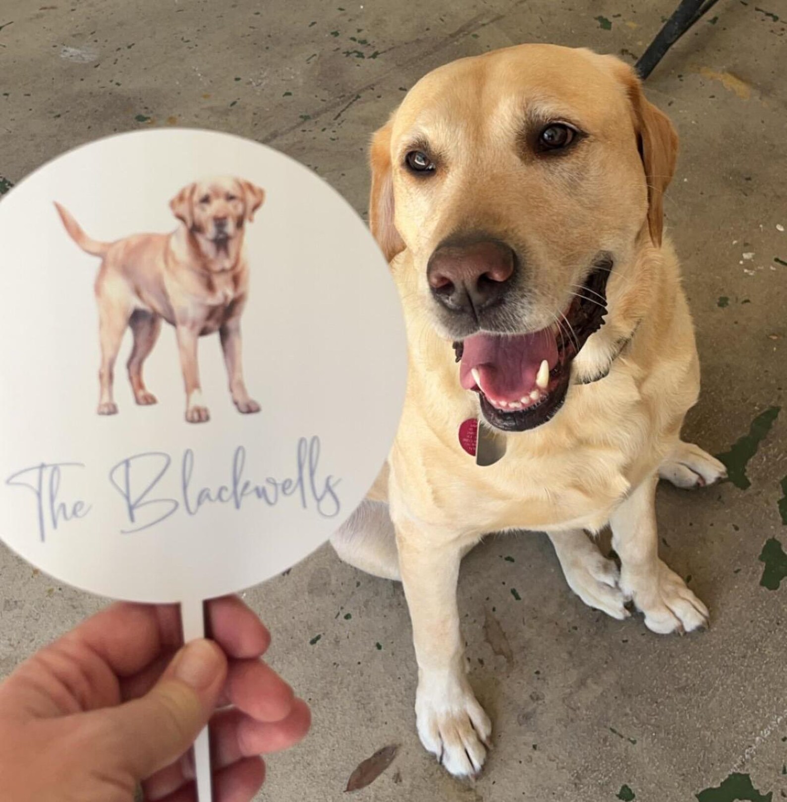 Labrador Retriever Cake Topper | Yellow Lab | Black Lab | Hunting Party ...