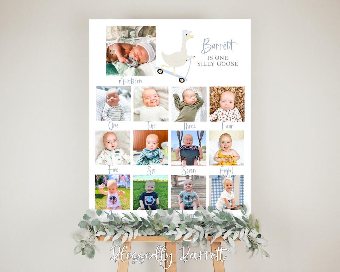 One Silly Goose Party Picture Milestone Sign | Blue Gingham ...