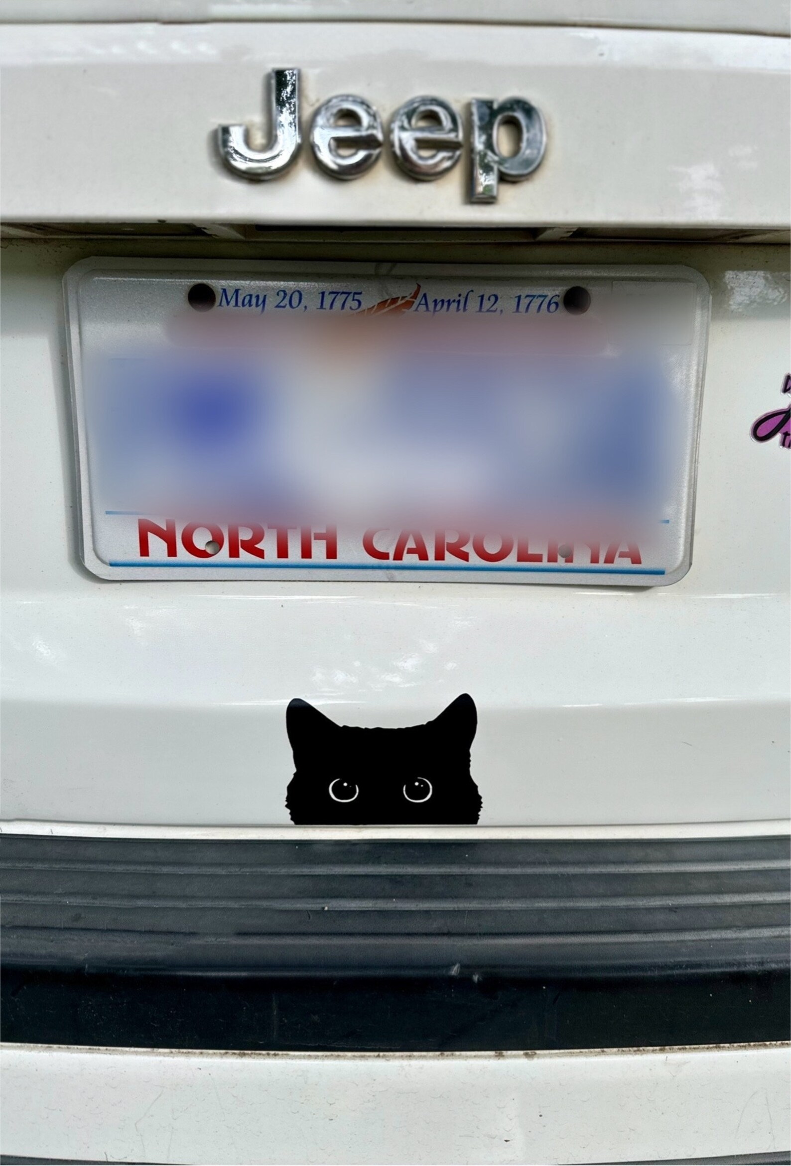 Cat Window Peeker Peaker Peeking Decal Car Accessories Car Decals ...