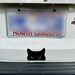 Cat Window Peeker Peaker Peeking Decal Car Accessories Car Decals ...
