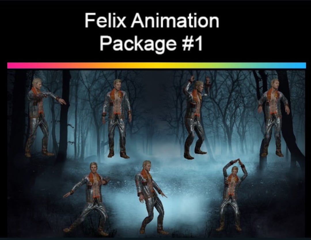 D B D FELIX Animation Package version 1 - Etsy