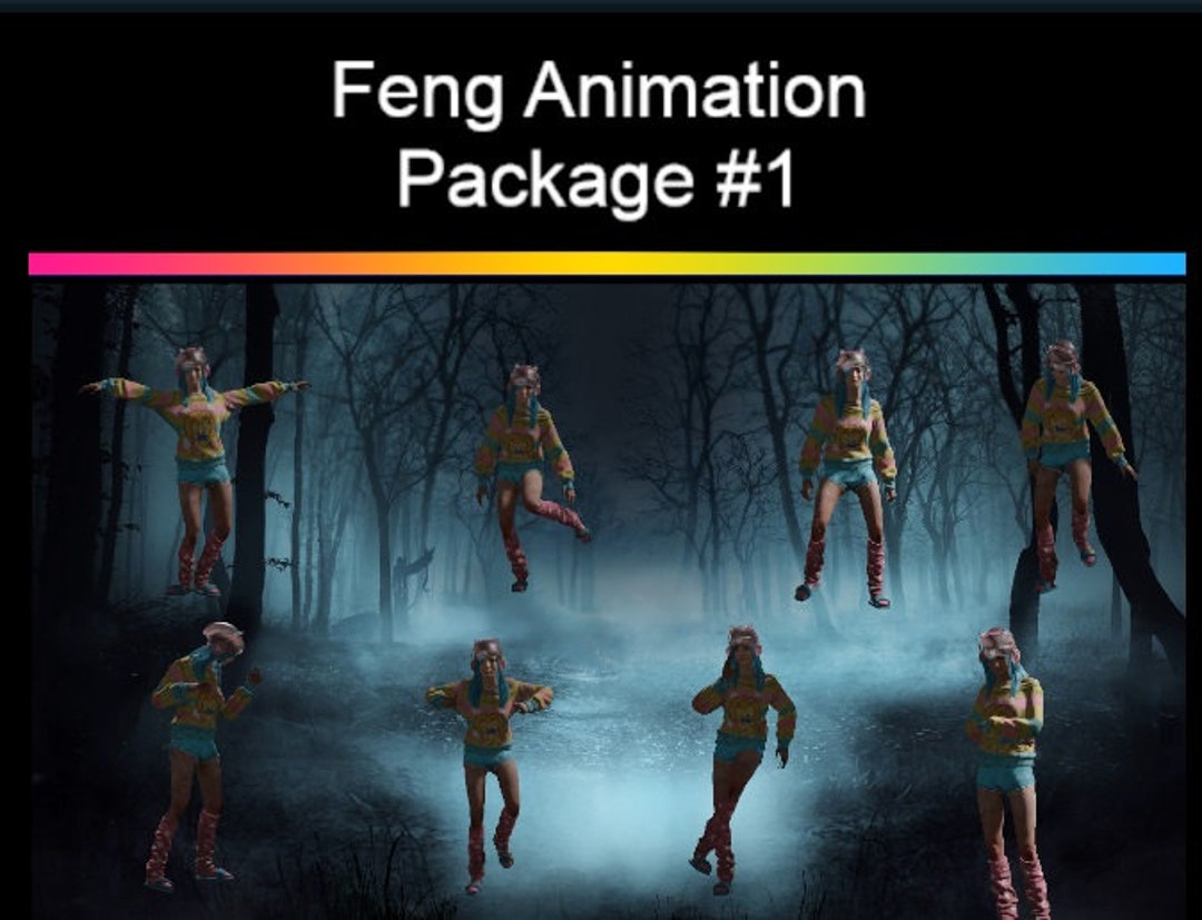 D B D FENG Animation Package (version 1) - Etsy