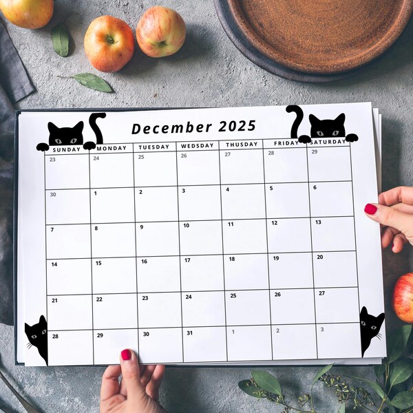 2024 Cat Calendar Desk - Etsy