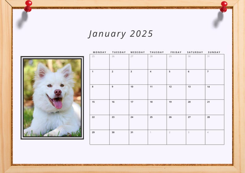 2025 Custom Photo Calendar Template: Family Wall or Desk (canva ...