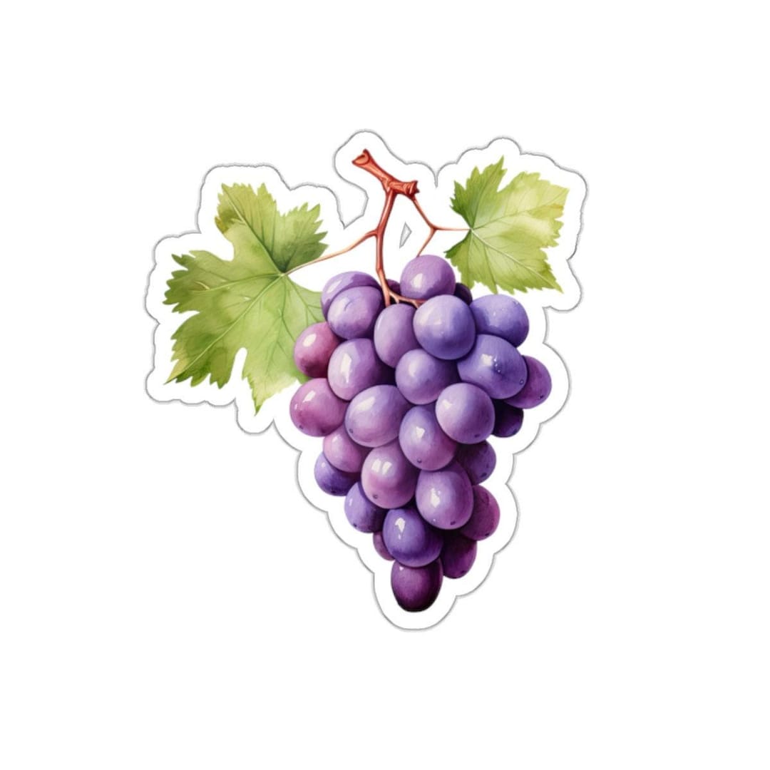 Purple Grapes Stickers, Cute Fruit Stickers, Watercolor Foodie Decal ...