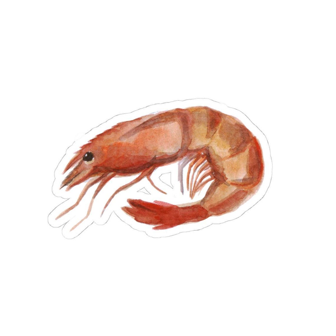 Watercolor Shrimp Sticker, Vinyl Sticker, Waterproof Decal for Laptop ...