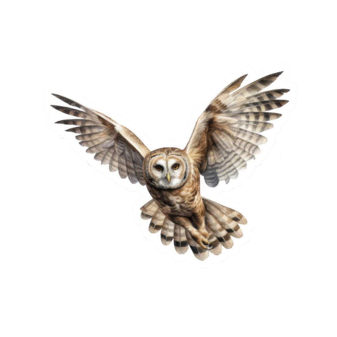 Owl Vinyl Sticker, Realistic Barn Owl, Cute Animal Decal, Laptop ...