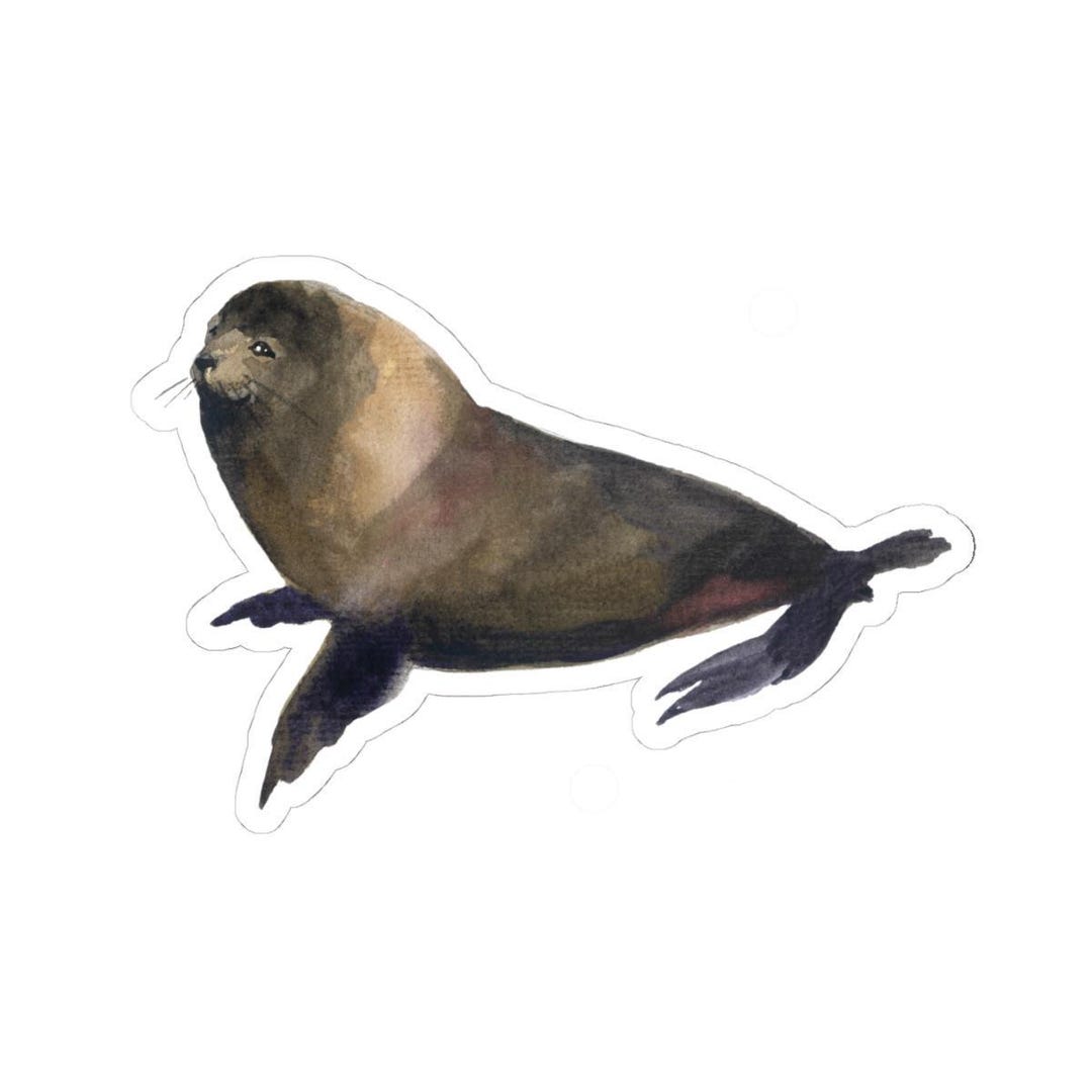 Cute Seal Vinyl Sticker, Watercolor Animal Stickers, Ocean Life Decal ...