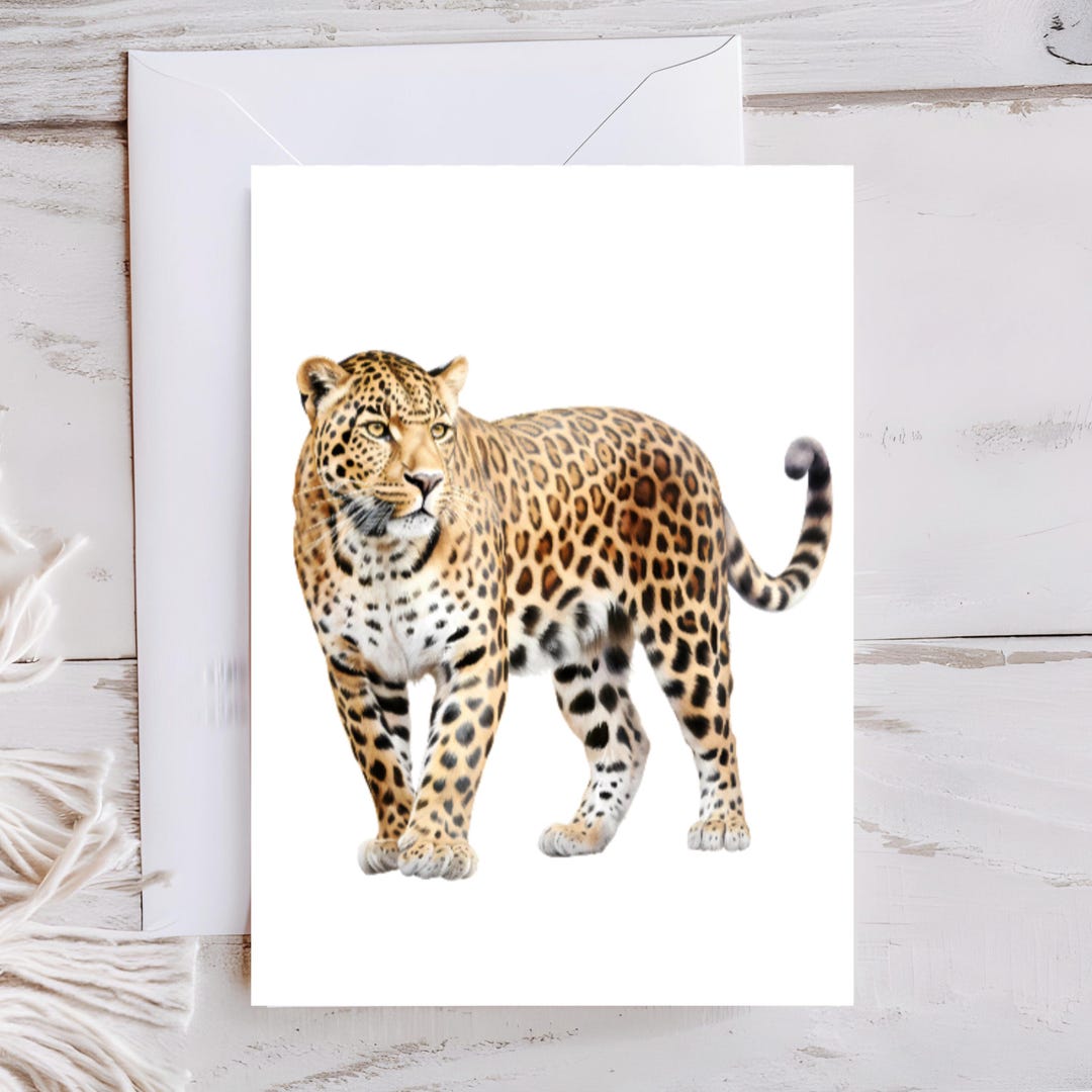 Leopard Greeting Cards 1 or 10 Pack, Set of Postcards Bundle With ...