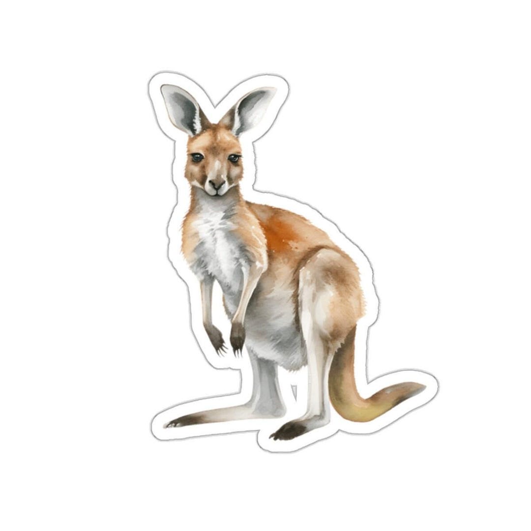 Kangaroo Stickers, Watercolor Art Decal, Cute Animal Stickers, Gifts ...