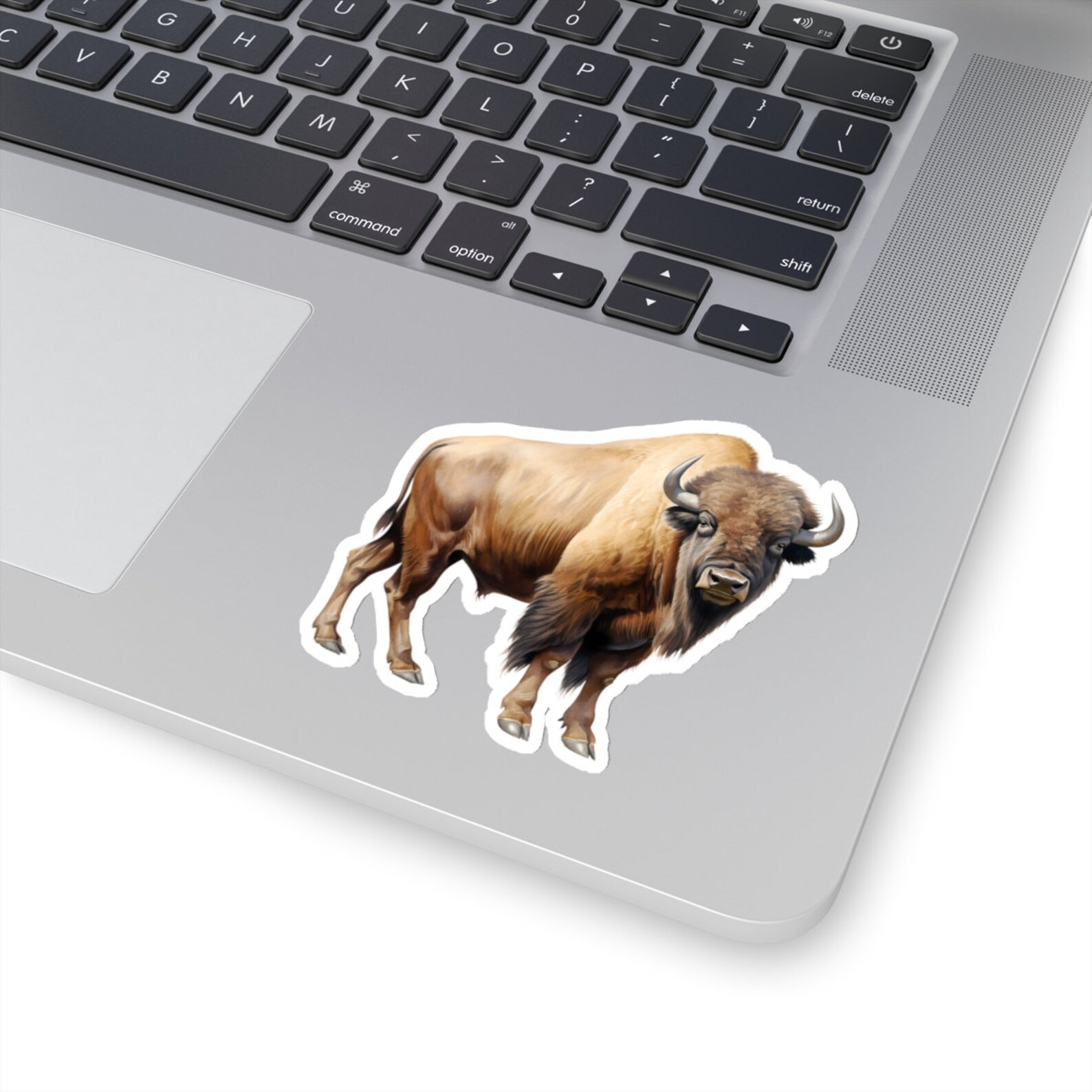 Watercolor Buffalo Sticker, American Bison Decal, Waterproof Vinyl for ...
