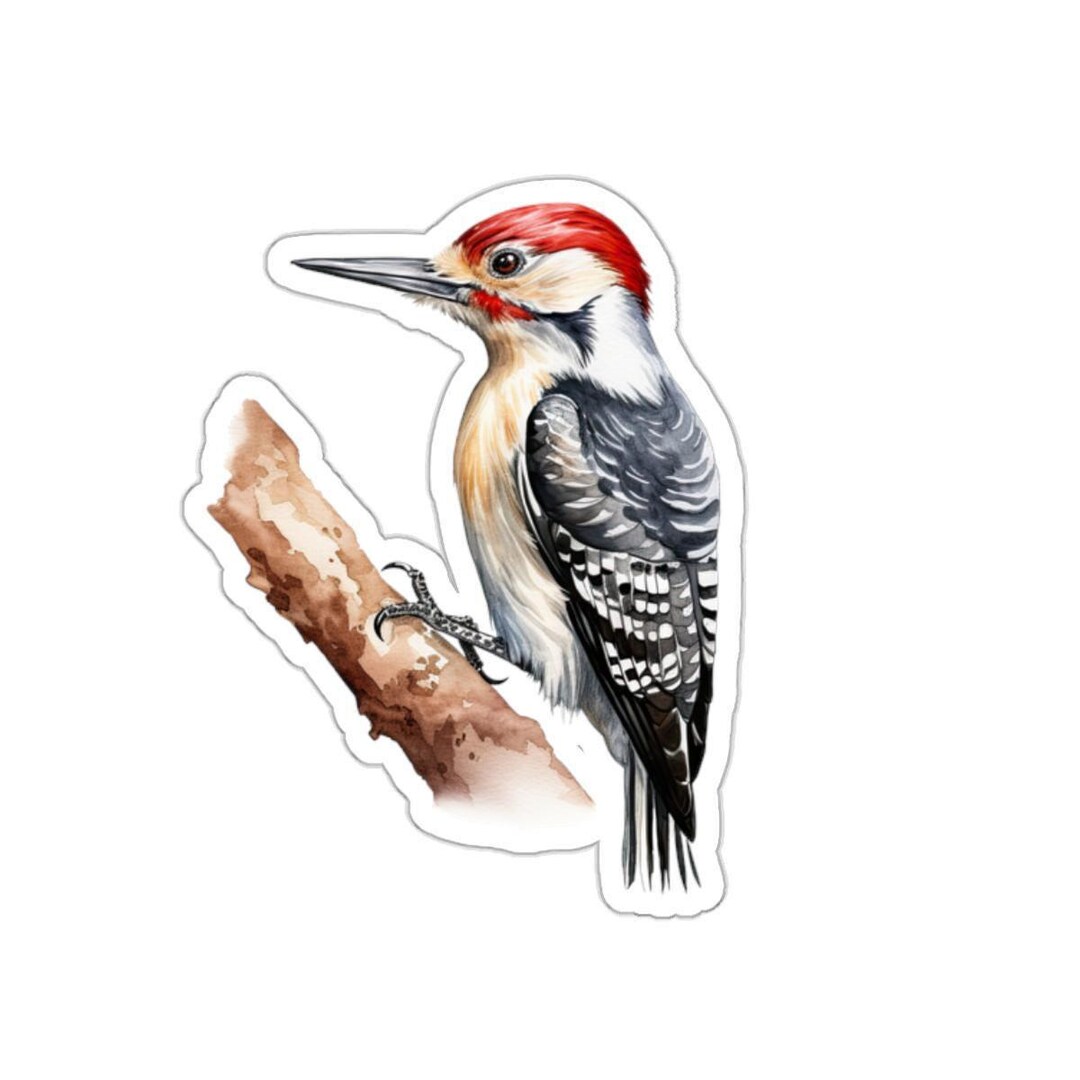 Red Headed Woodpecker Sticker, Watercolor Bird Sticker, Bird Lover Gift ...