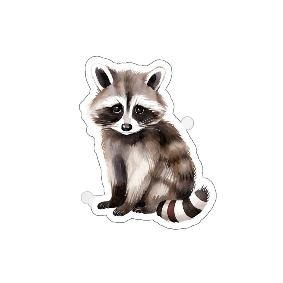 Cute Raccoon Vinyl Sticker, Animal Sticker for Laptop, Water Bottle ...