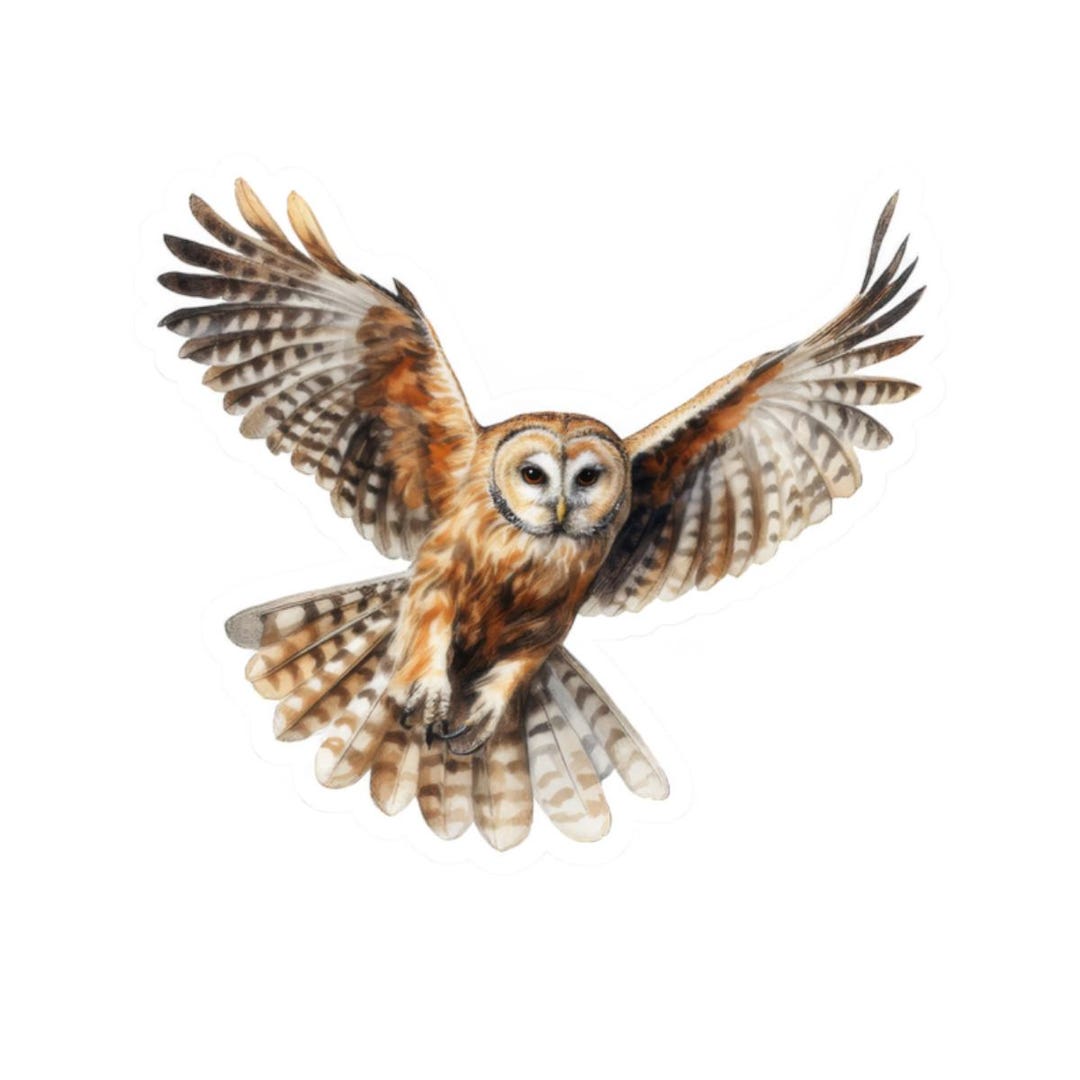 Flying Barn Owl Sticker: Glossy Bird Art Decal for Laptop Phone Water ...