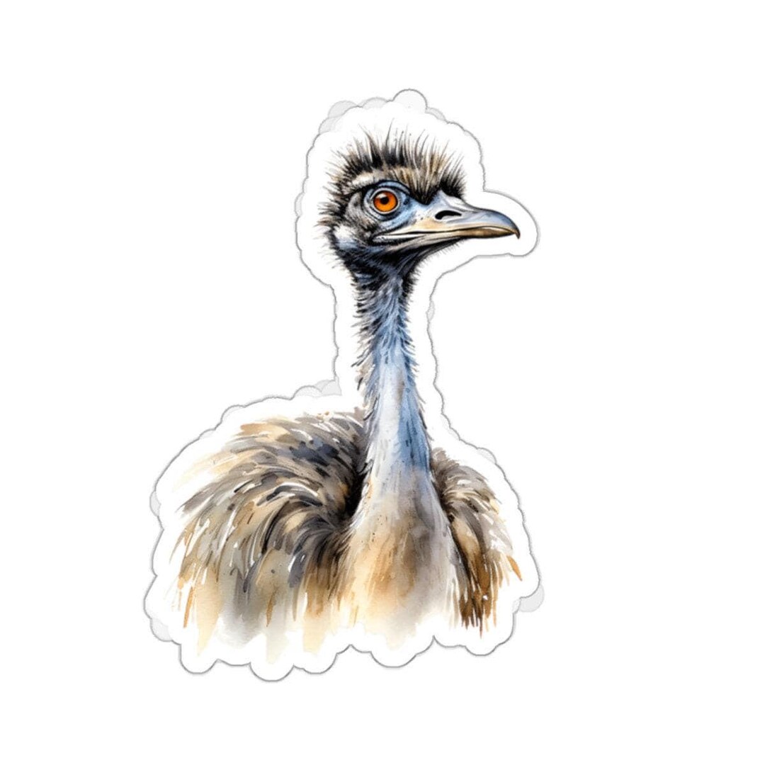 Emu Bird Sticker, Watercolor Art Decal, Funny Animal Stickers, Gift for ...