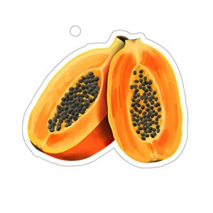 Papaya Stickers, Summer Fruit Stickers, Foodie Gift, Tropical Sticker ...