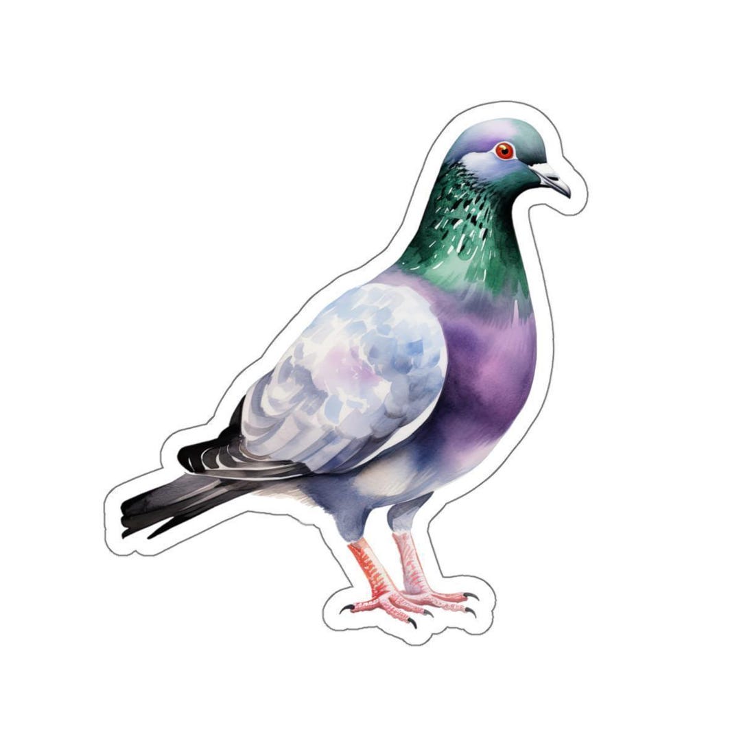 Cute Pigeon Vinyl Sticker for Laptop Water Bottle Phone Eco Friendly ...