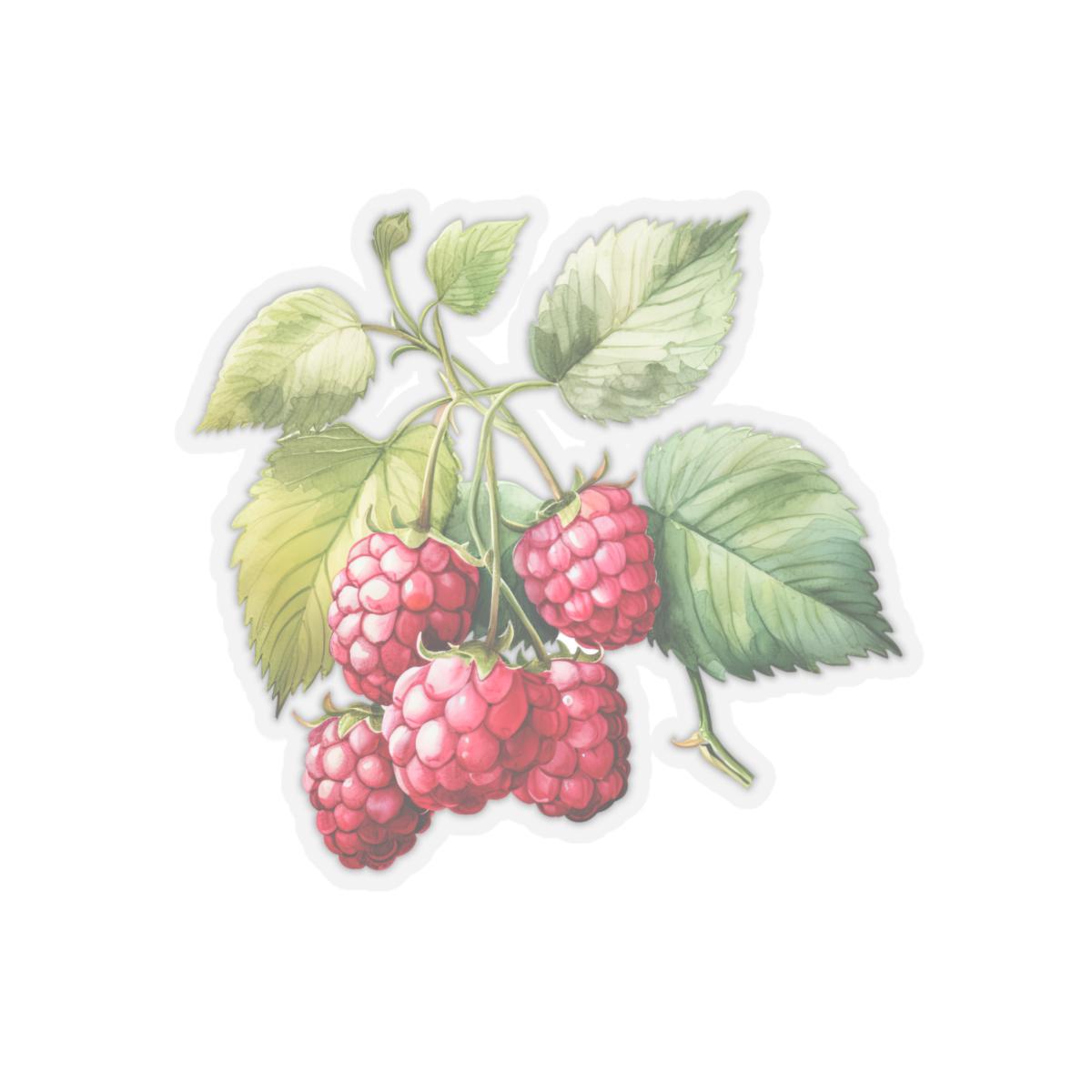 Raspberry Sticker, Cute Watercolor Raspberry Decal, Glossy Decorative ...