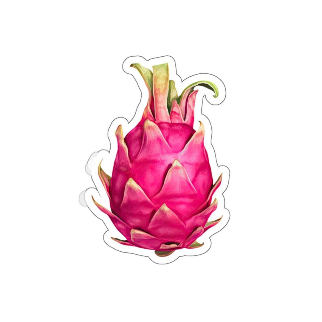 Dragon Fruit Vinyl Sticker Waterproof Glossy Dragon Fruit Decal Cute ...