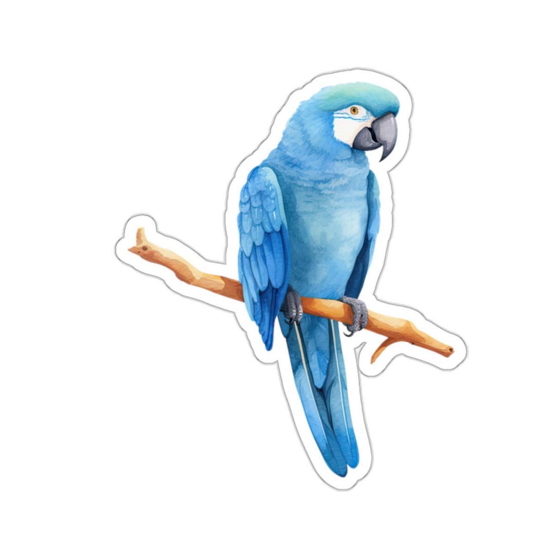 Macaw Parrot Sticker, Blue Bird Decal, Tropical Bird Sticker, Cute ...