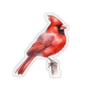 Cardinal Bird Vinyl Sticker, Red Cardinal Decal, Cute Bird Sticker ...
