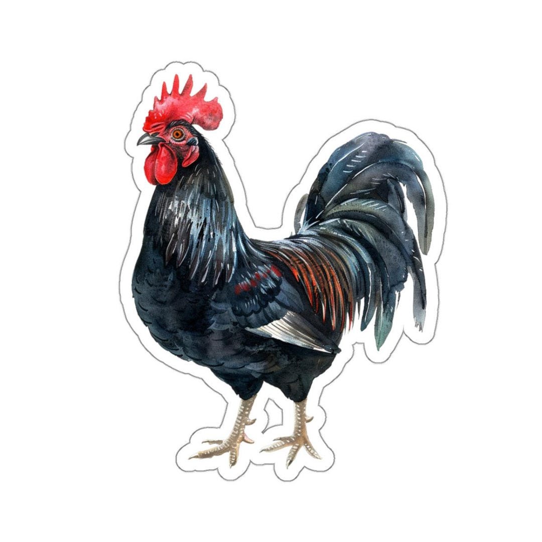 Black Rooster Sticker, Farmhouse Decor, Waterproof Vinyl Decal - Etsy