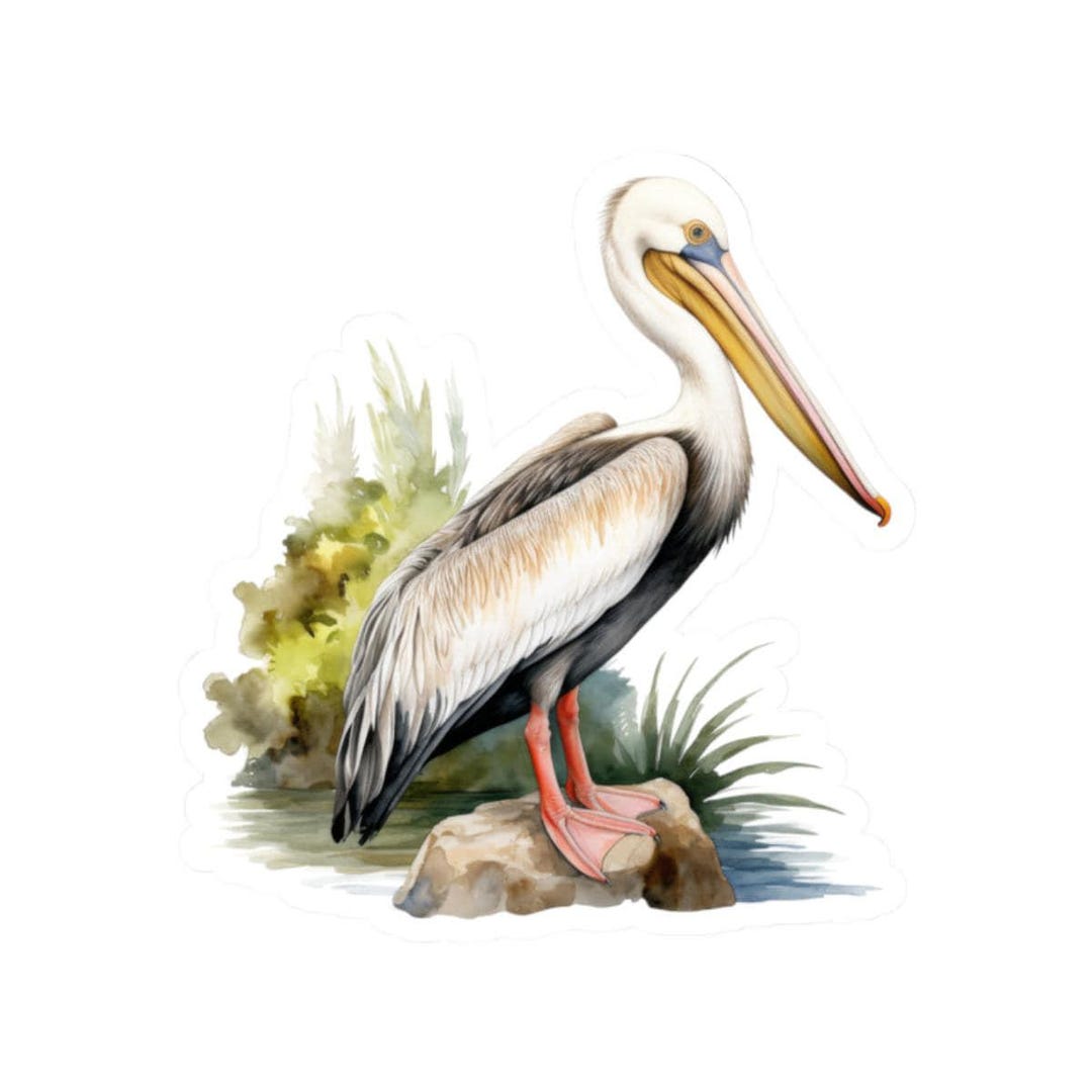 Pelican Decal for Laptop, Water Bottle, Phone, Journal, Planner, White ...