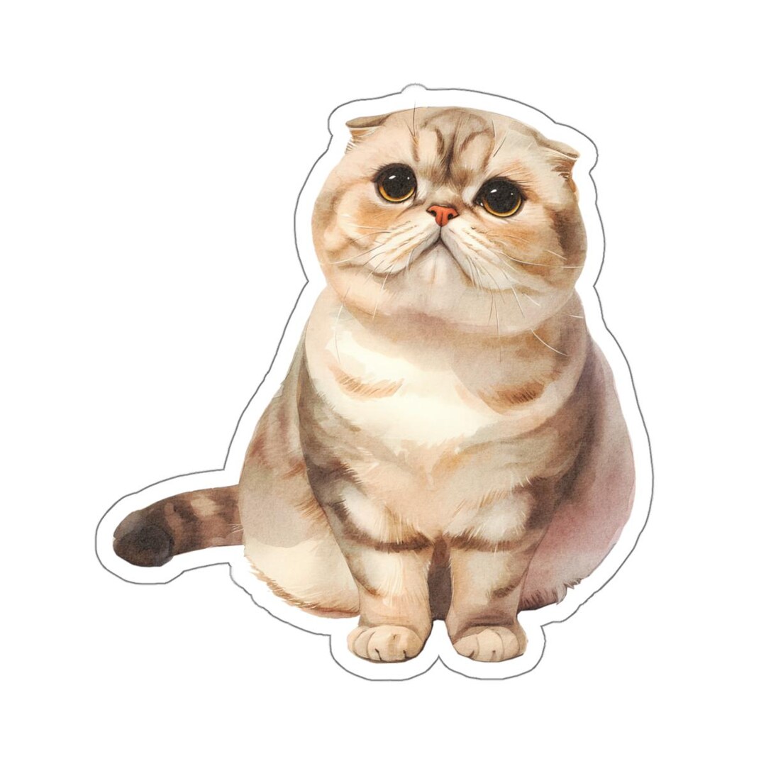 Cute Scottish Fold Cat Vinyl Sticker, Funny Pet Decal, Gift for Cat ...