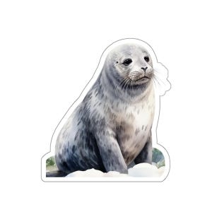 Cute Seal Sticker, Waterproof Glossy Seal Decal, Perfect Gift for ...