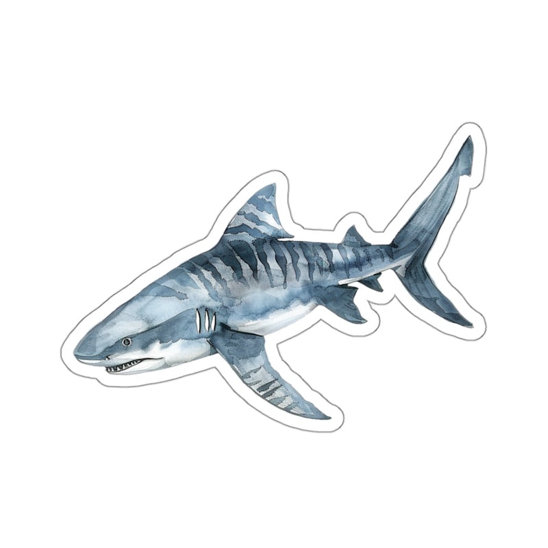Shark Wall Sticker - Etsy