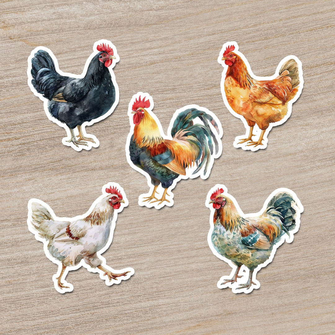 Colorful Chicken Sticker Pack, Set of 5 Chicken Waterproof Vinyl ...