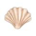 Seashell Sticker, Watercolor Shell Decal, Summer Beach Sticker, Coastal ...