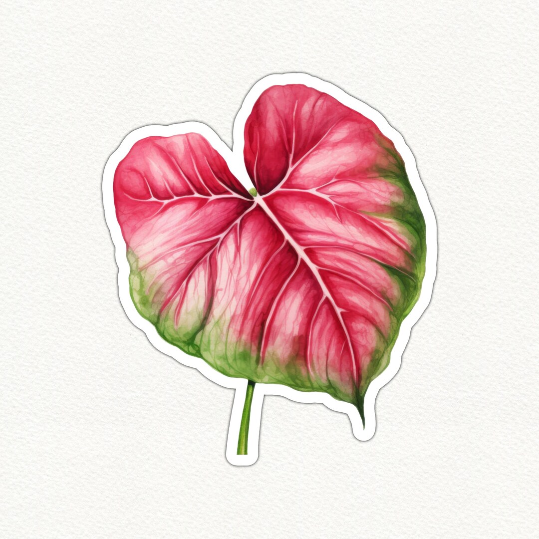 Pink Green Tropical Leaf Vinyl Sticker, Waterproof Glossy Decal for ...