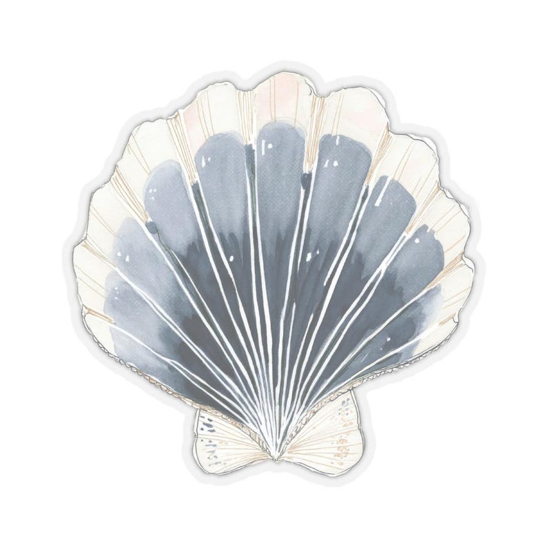 Watercolor Seashell Sticker, Coastal Decor, Nautical Gift, Beach Lover ...