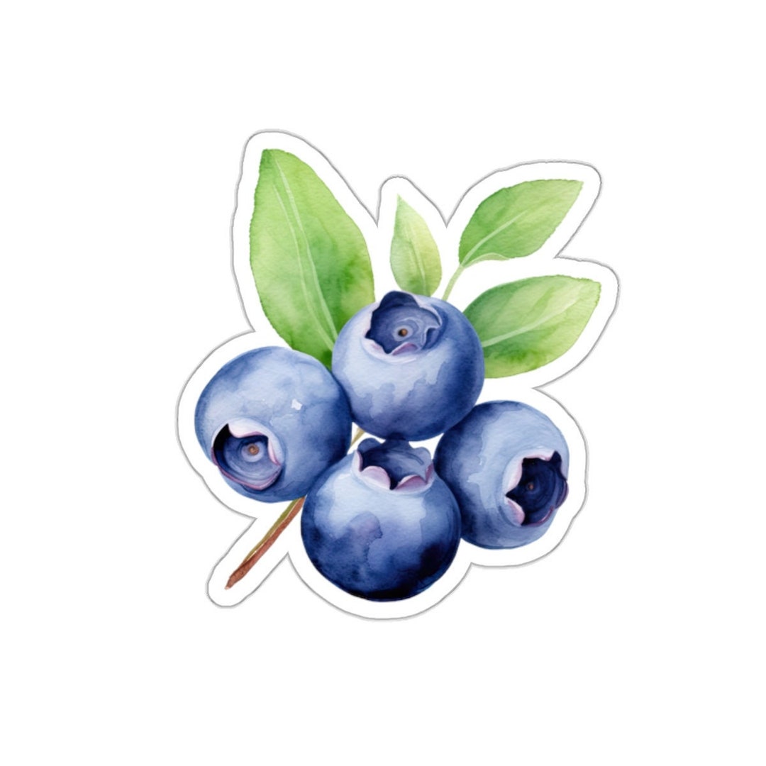 Blueberry Sticker, Cute Fruit Sticker, Watercolor Vinyl Sticker, Laptop ...
