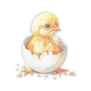Cute Chick Vinyl Sticker, Waterproof Laptop Water Bottle Phone Car Wall ...