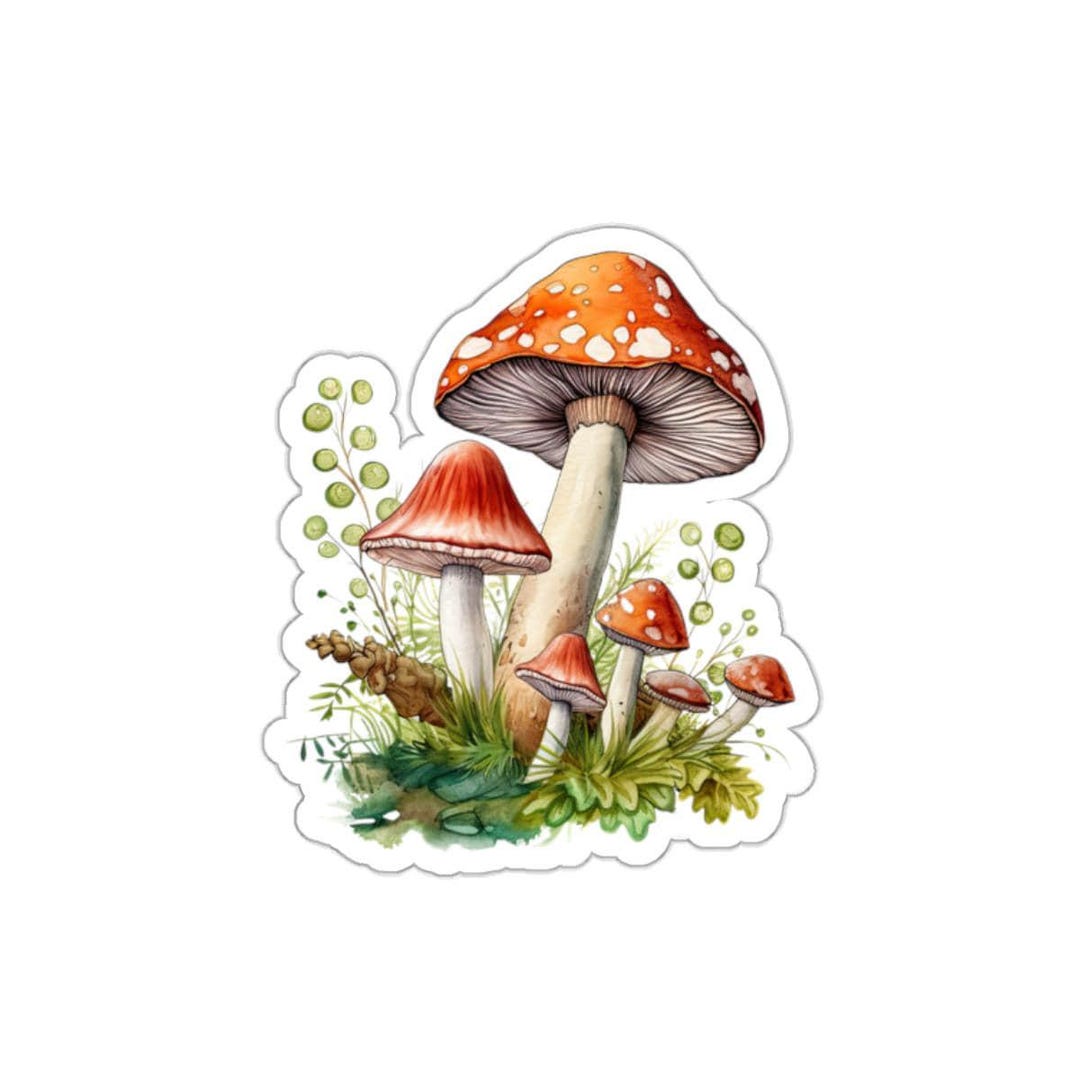 Colorful Mushroom Sticker, Watercolor Mushroom Decal, Woodland Fungi ...