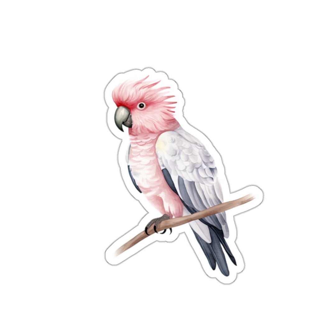 Pink Cockatoo Sticker - Realistic Bird Vinyl Decal, Watercolor Animal ...