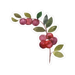 Cranberry Sticker, Watercolor Berries Decal, Winter Holiday Sticker ...
