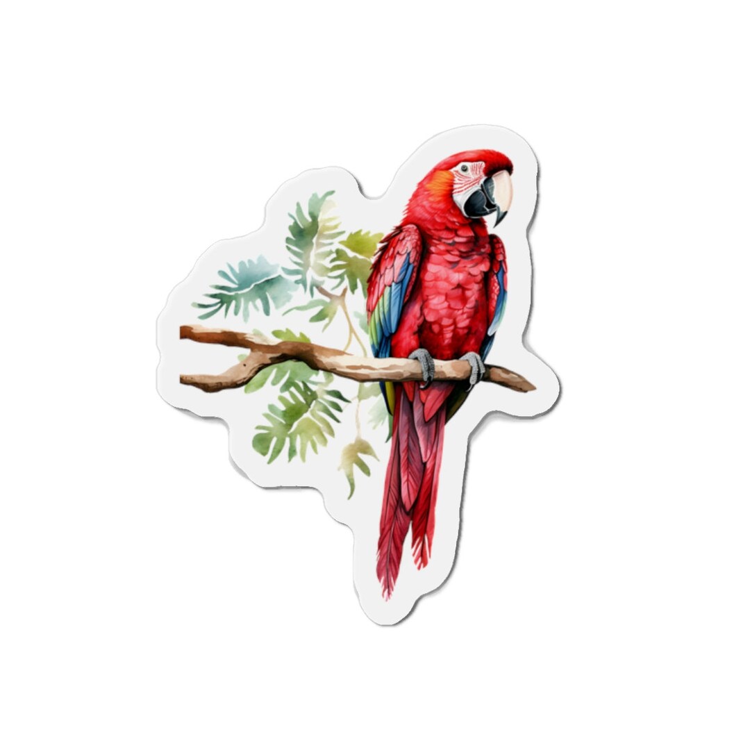 Red Macaw Parrot Magnet, Tropical Bird Fridge Magnet Die-cut, Cute ...