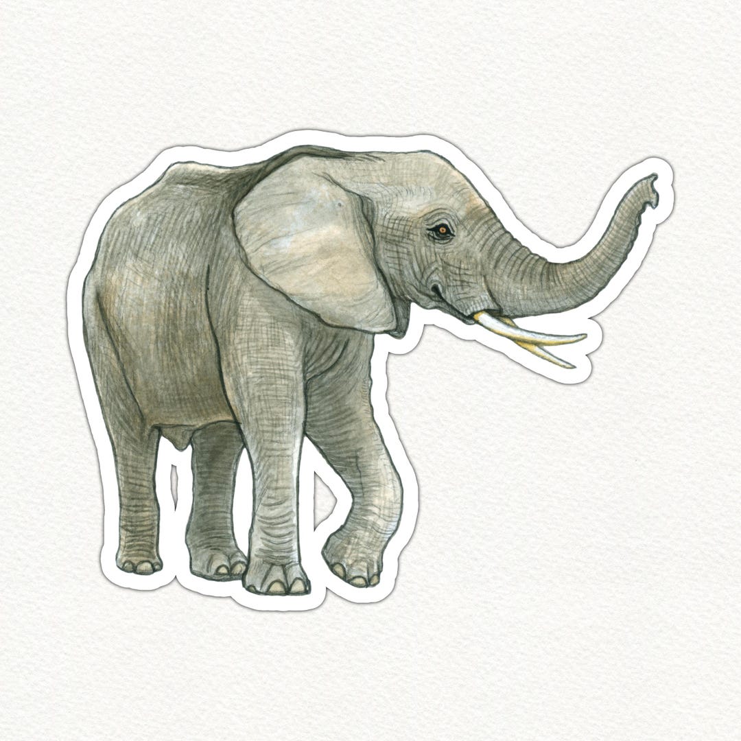Elephant Sticker, Watercolor Elephant Decal, Vinyl Elephant Sticker ...