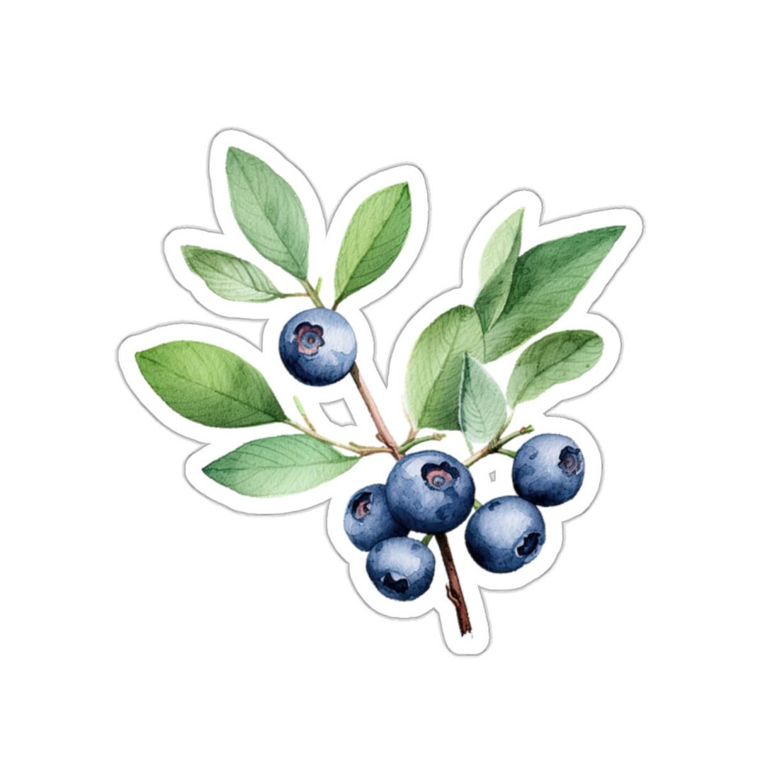Blueberry Plant Watercolor Art, Nature Lover Vinyl Sticker, Eco ...