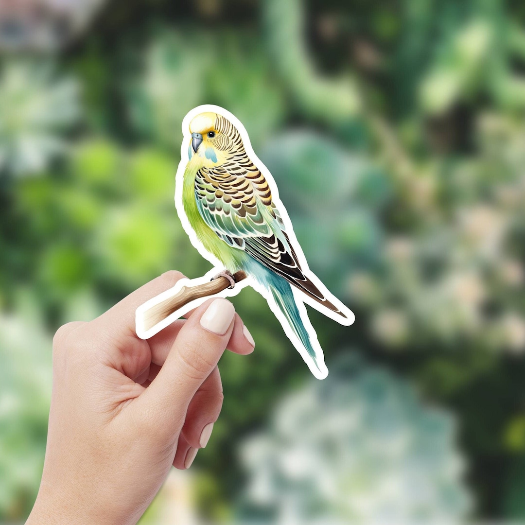 Watercolor Budgie Sticker, Parakeet Bird Vinyl Decal, Waterproof ...