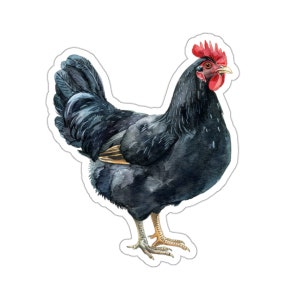 Black Chicken Vinyl Sticker, Waterproof Laptop Water Bottle Phone Car ...