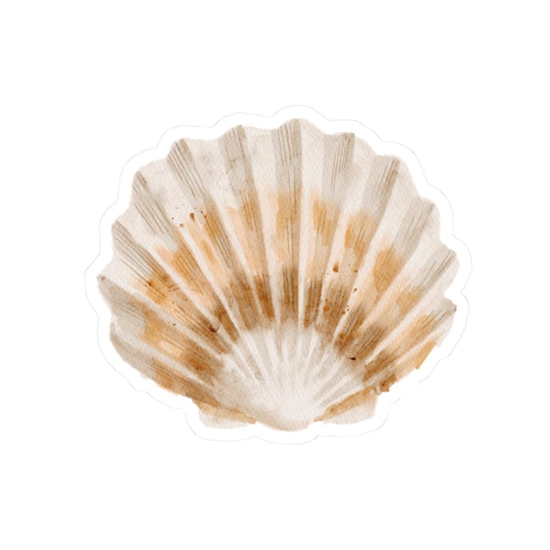 Watercolor Scallop Shell Sticker, Beach Themed Vinyl Decal, Ocean Art ...