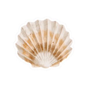 Watercolor Scallop Shell Sticker, Beach Themed Vinyl Decal, Ocean Art ...