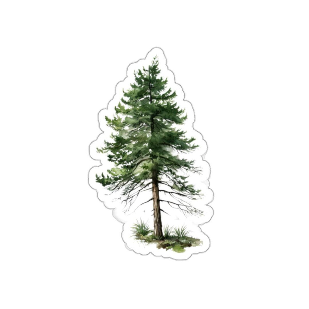 Beautiful Pine Tree Stickers, Cute Evergreen Decal, Nature Scene ...