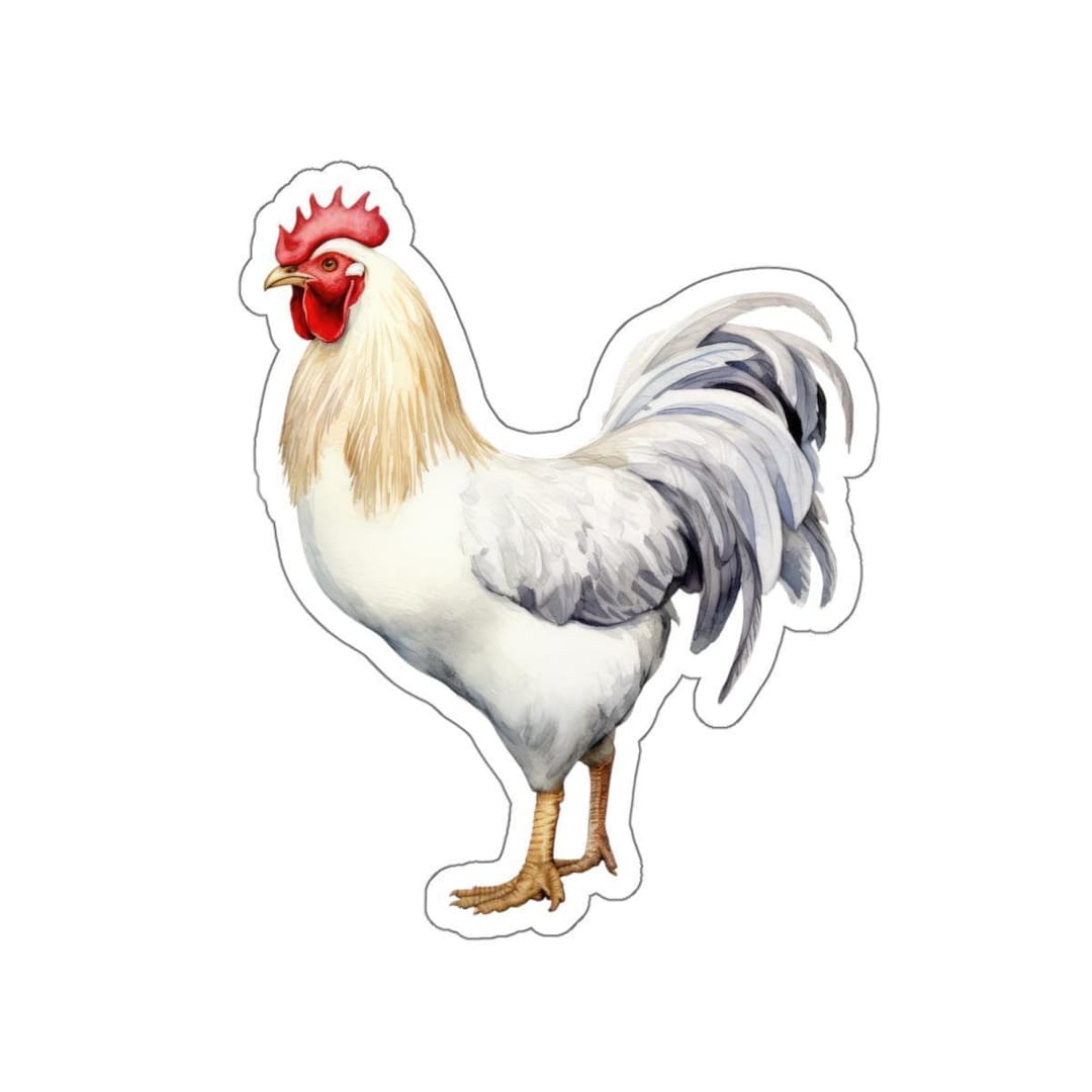 Cute Chicken Rooster Sticker, Farm Animal Vinyl Decal, Waterproof ...